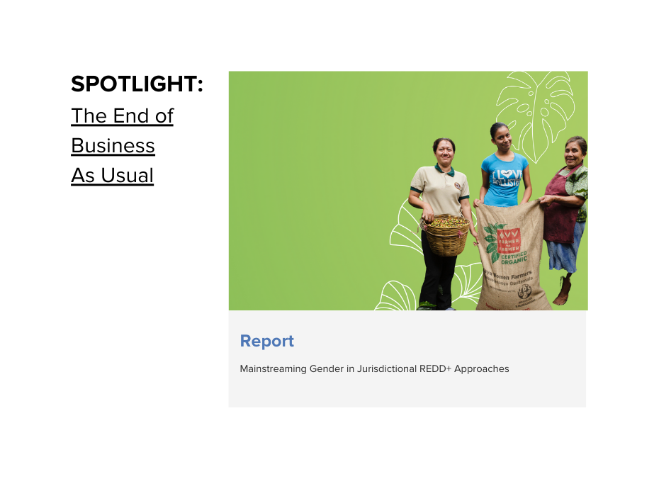 Equity And Integrity In Forest Solutions Climate And Forests